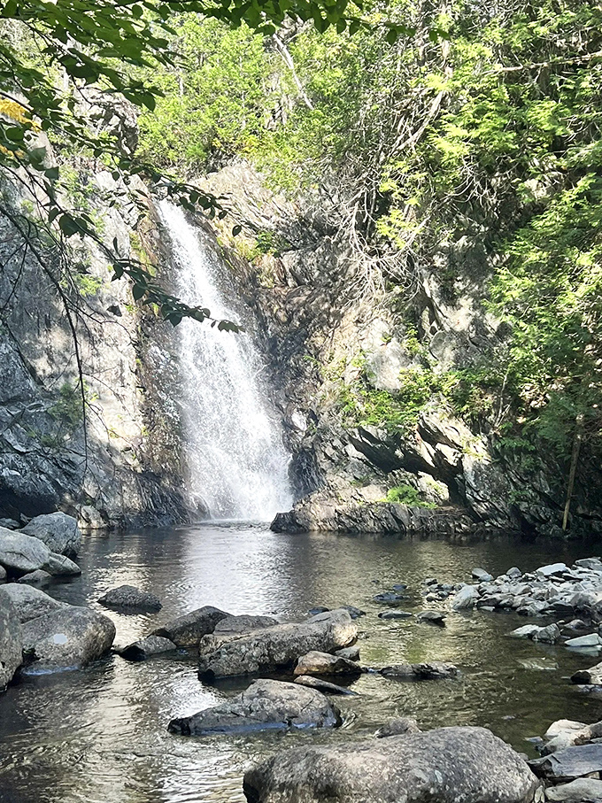 Poplar Stream Falls: Where water takes the stairs instead of the elevator. A two-tiered treat for the eyes and the soul!