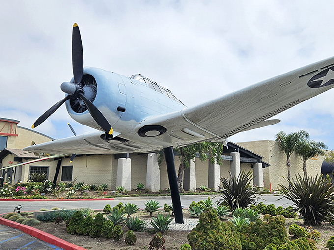 Plane spotting and BBQ? The Proud Bird serves up a double helping of Americana. It's the closest you'll get to in-flight dining without leaving the ground.