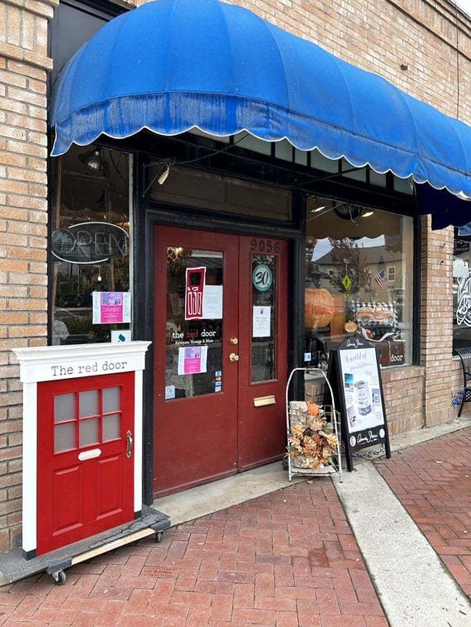 Behind the red door lies a world of whimsy and wonder. Caution: May cause spontaneous redecorating urges!