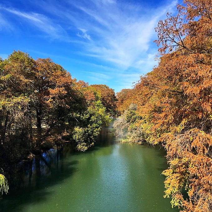 Autumn splendor: Fall in Castroville paints the Medina River in a palette of warm hues. It's nature's way of showing off!