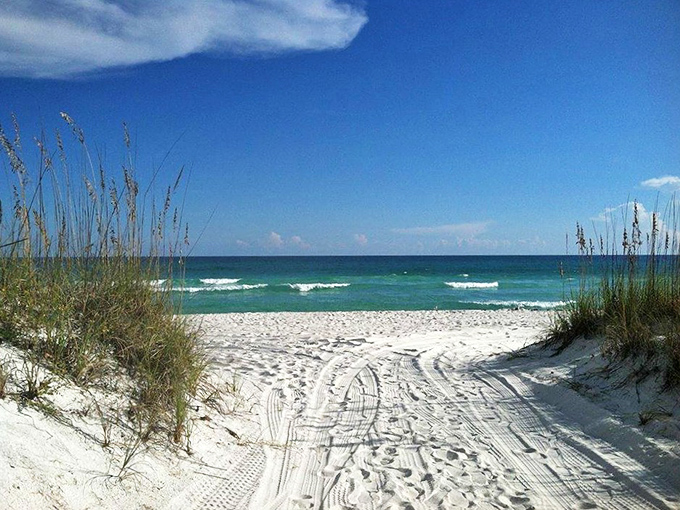 Sand so white, it could be mistaken for a sugar spill at the world's largest bakery. Pensacola Beach: where every day feels like a vacation commercial.