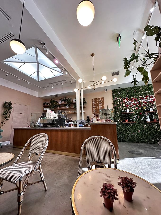 Welcome to the jungle, we've got fun and games... and coffee! This counter is where botanical dreams and caffeine wishes come true.