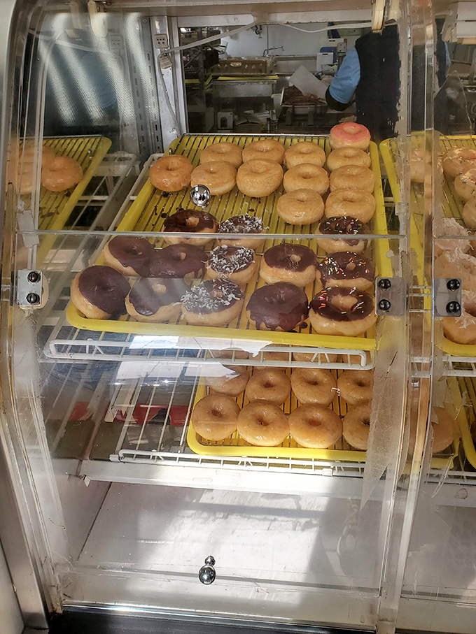 Donut temptation central! This display case is like a museum of mouthwatering masterpieces, each shelf a gallery of glazed goodness.