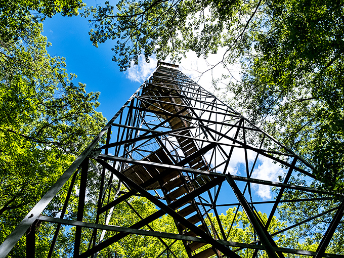 Reaching for the sky: This tower's not just tall, it's a stairway to heaven for nature lovers. Led Zeppelin would be proud.