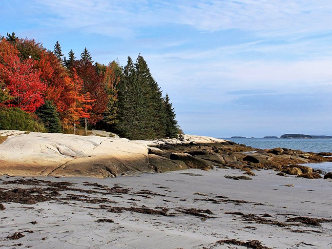 Ocean views that'll make your jaw drop faster than you can say "lobster roll." Is this Maine or a desktop wallpaper come to life?