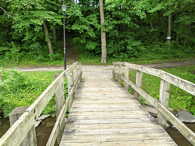 A bridge to tranquility. This wooden walkway invites you to leave your troubles behind and embrace nature's calm. No trolls, just serenity!