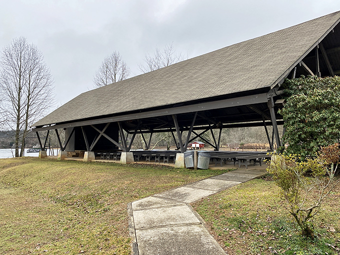 Picnic paradise! This covered area is perfect for family gatherings or impromptu feasts. Just watch out for sneaky squirrels eyeing your sandwiches!