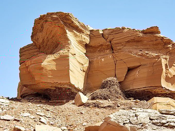 Nature's sculpture garden: Wind and time carve masterpieces that would make Michelangelo jealous.