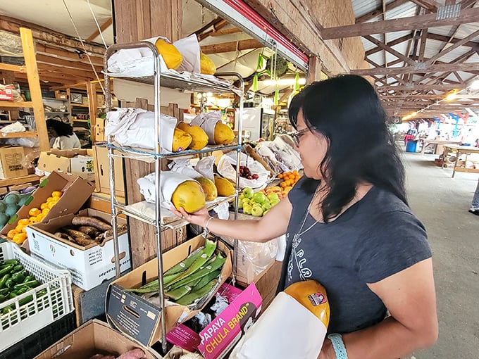 Market maven on a mission! Watch as this savvy shopper navigates the produce aisle like a pro, hunting for the perfect melon.