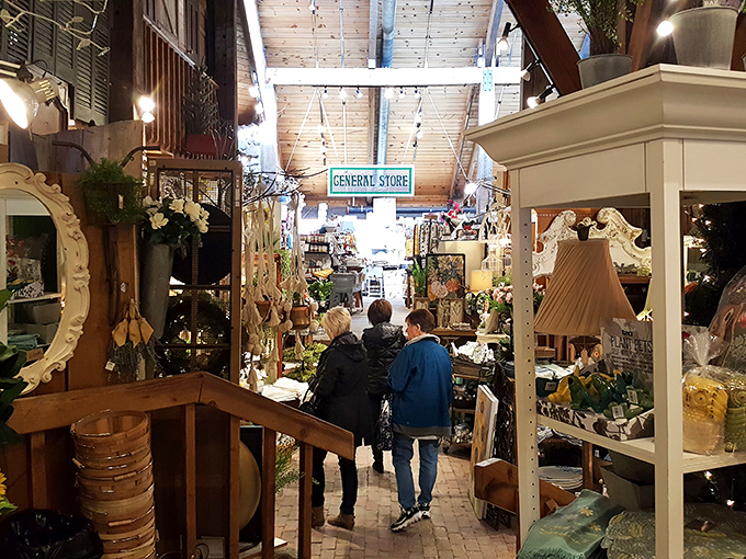 Shoppers in their natural habitat, navigating the wilderness of whimsy. David Attenborough would be proud.