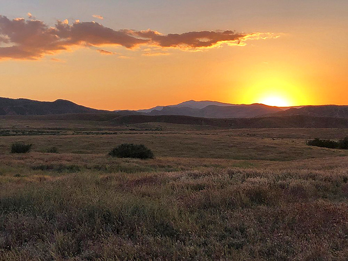 Sunset or nature's own light show? Either way, it's better than any 4K TV you've got at home.