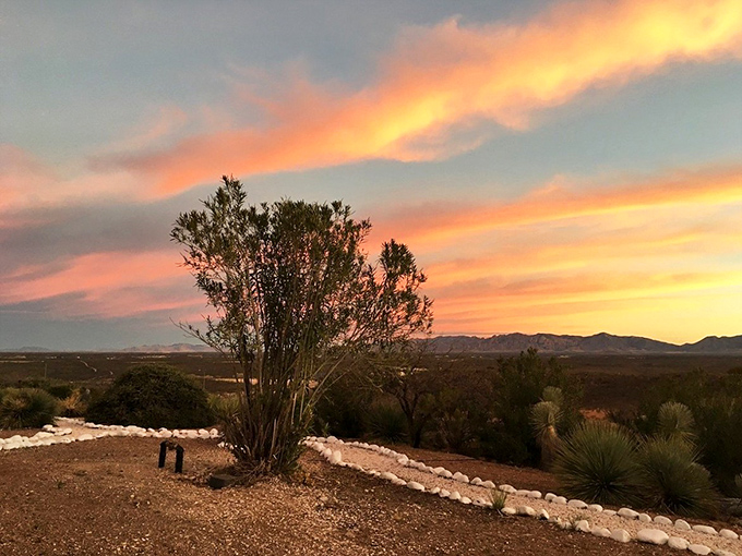 Desert sunsets paint the sky in shades that would make any Hollywood western cinematographer jealous.