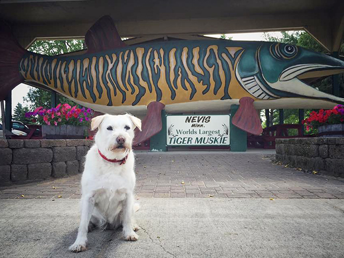 Man's best friend meets fish's biggest fan. This pup's probably thinking, "Now that's what I call a chew toy!"