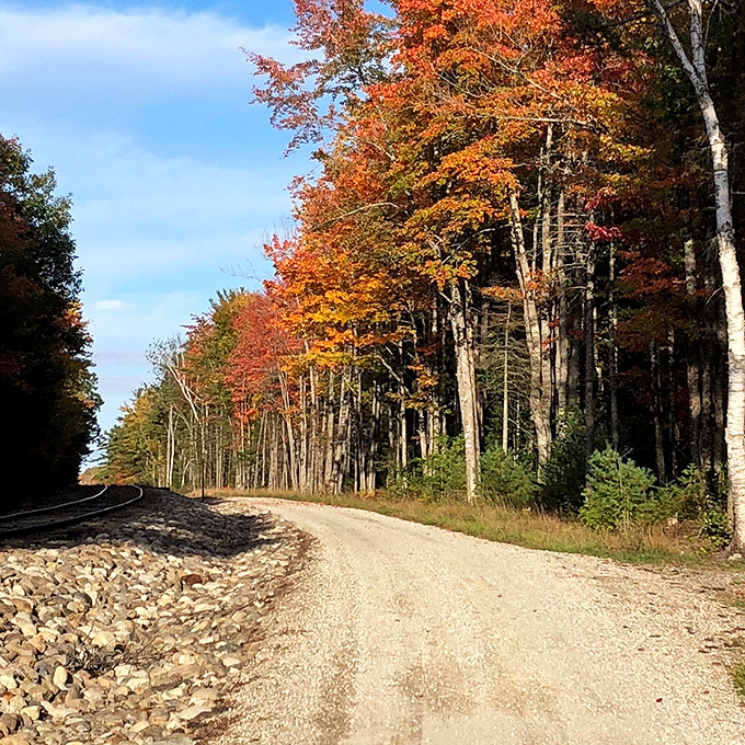 All aboard the foliage express! This leaf-lined trail invites you to choo-choose your own autumn adventure.
