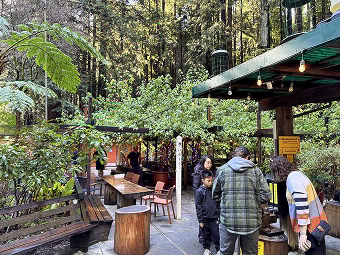 Gather 'round, gravity doubters! These intrepid explorers are about to have their minds (and balance) blown.