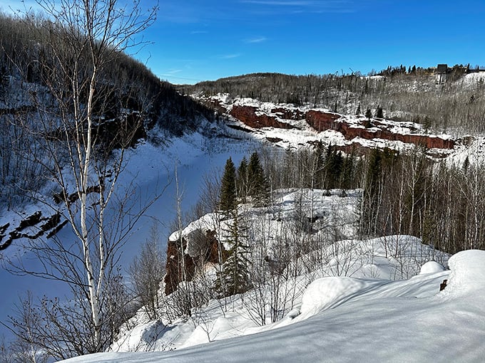 Winter wonderland or real-life Narnia? This snowy scene might have you checking the back of your closet for a magic wardrobe.