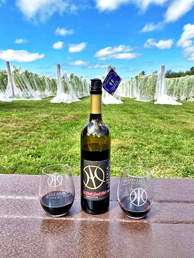 Red, red wine, stay close to me! This bottle is ready for its close-up &ndash; and your glass.