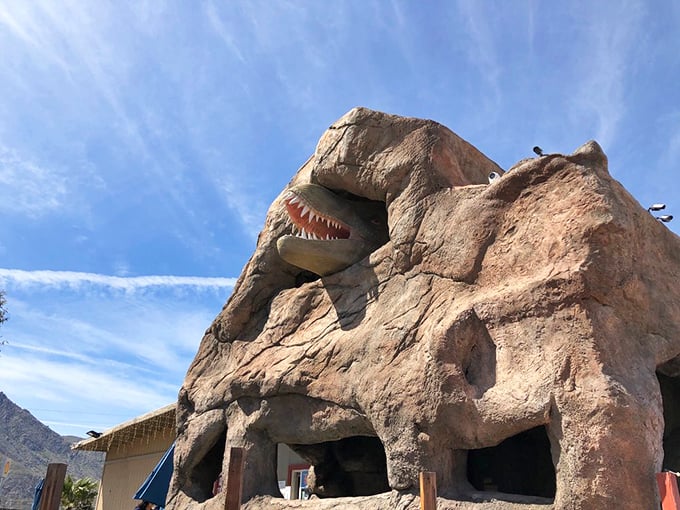 Open wide and say 'Rawr!' This rocky reptile gives new meaning to the phrase 'stone-faced.'