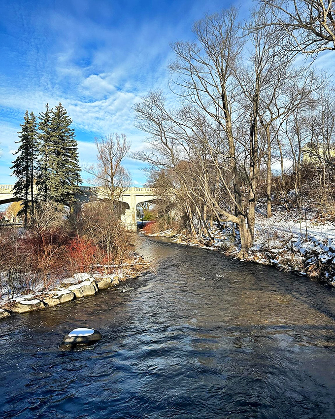 Bear River in winter: A picturesque stream cutting through the snowy landscape. It's like Mother Nature's version of a marble cake, but much colder.