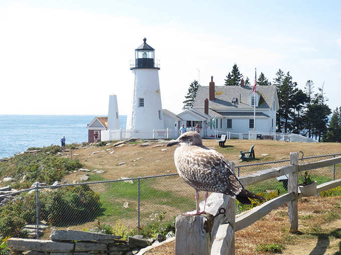 "Paint me like one of your French gulls," said the seagull, clearly auditioning for its big Hollywood break.