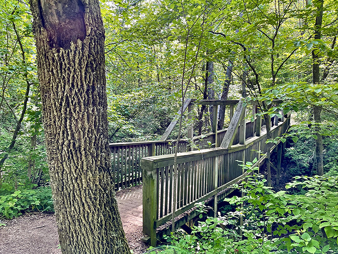 Bridge over untroubled water. This wooden walkway invites you to cross into a world where stress doesn't exist.