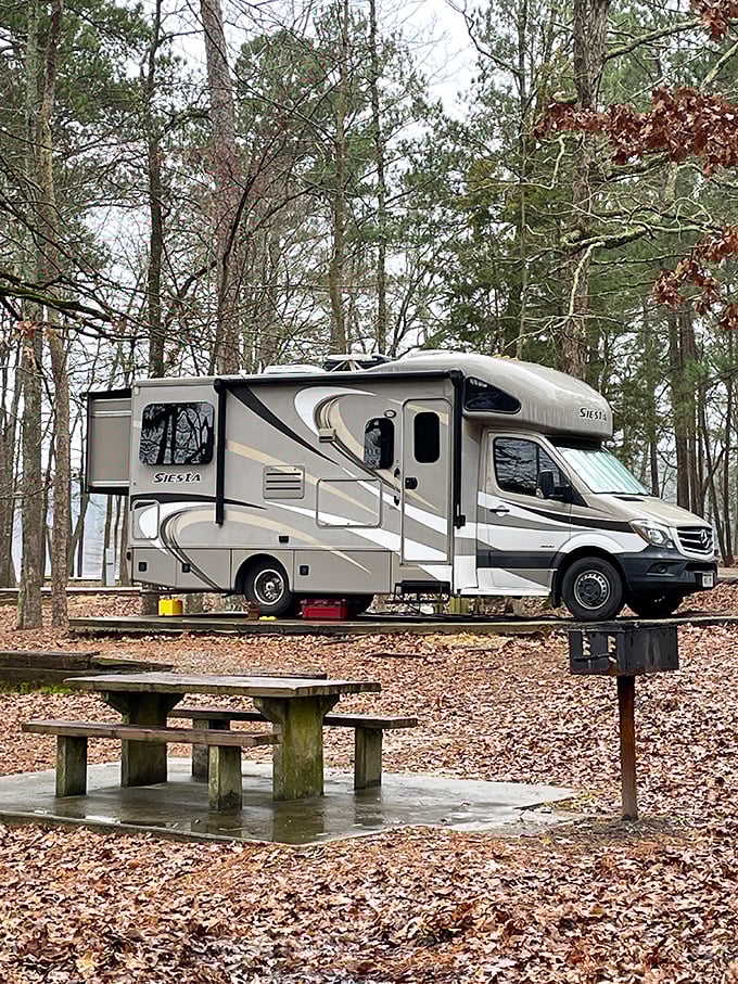 Glamping goals achieved! This RV setup is like a five-star hotel suite on wheels, complete with a forest-view balcony.