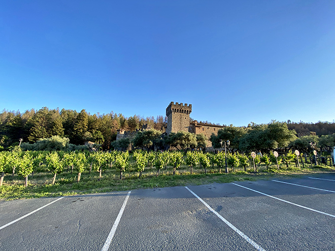 Castello di Amorosa: Because nothing says "Napa Valley" quite like a 13th-century Tuscan castle. Eat your heart out, Disneyland!