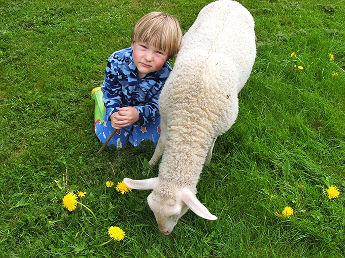 Meet the real VIP of Sweetgrass: this woolly friend ensures the grass stays trimmed and the cuteness factor stays high. Wine with a side of "aww"!