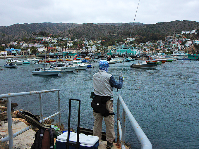 Reel therapy: Fishing off Catalina's shores &ndash; where "the one that got away" stories are born and seafood doesn't get any fresher.