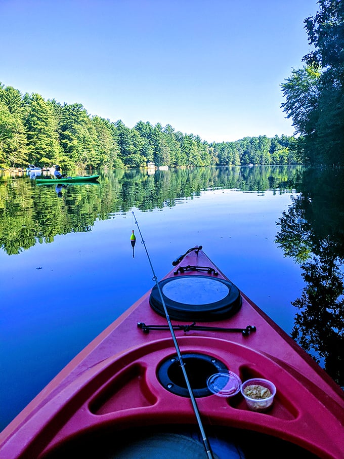 Fish tales and tranquil waters: Where "the one that got away" is just an excuse to keep casting in this slice of angler's paradise.
