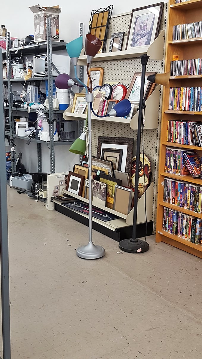 From funky lamps to framed art, this corner is where home d&eacute;cor goes to find its forever family.