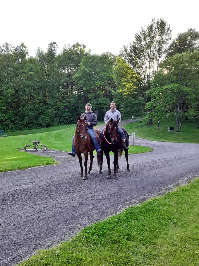 Giddy up and away: Horseback riding through Jefferson Lake - it's like being in a John Wayne movie, but with better scenery and less gunfights.