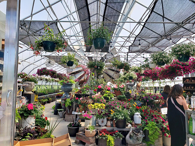 Step into the greenhouse, where plants party and blooms boogie. It's like a disco for daisies and a rave for roses.