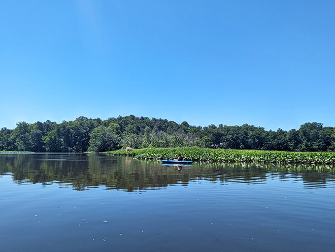 Paddle your worries away: Martinak's waters are smoother than a jazz saxophone solo. The perfect spot to find your inner peace &ndash; or at least pretend you have.