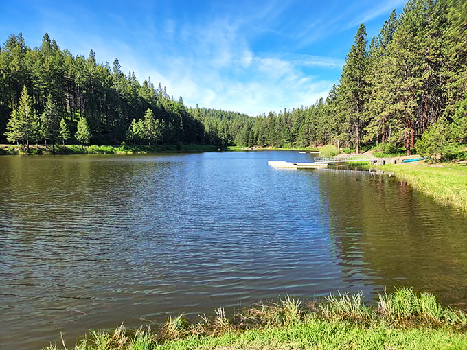 Lake or mirror? Winchester's waters are so still, even Narcissus would do a double-take. Selfie heaven, anyone?
