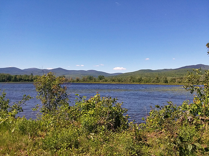 Mirror, mirror on the water. This tranquil lake view could make even the most stressed-out city slicker forget their troubles.