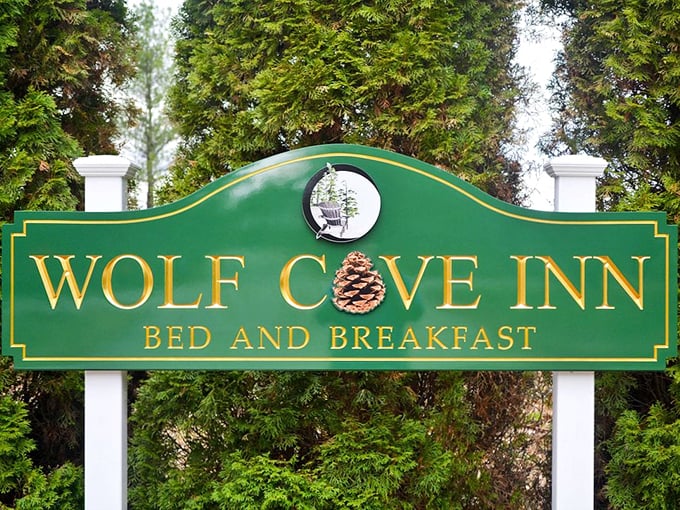 Sign, sign, everywhere a sign! This one's pointing you straight to relaxation station. All aboard the chill train!