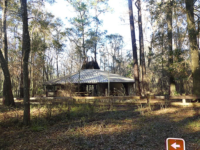 Is it a UFO? A giant mushroom? Nope, just Florida's coolest geology classroom disguised as a forest pavilion.