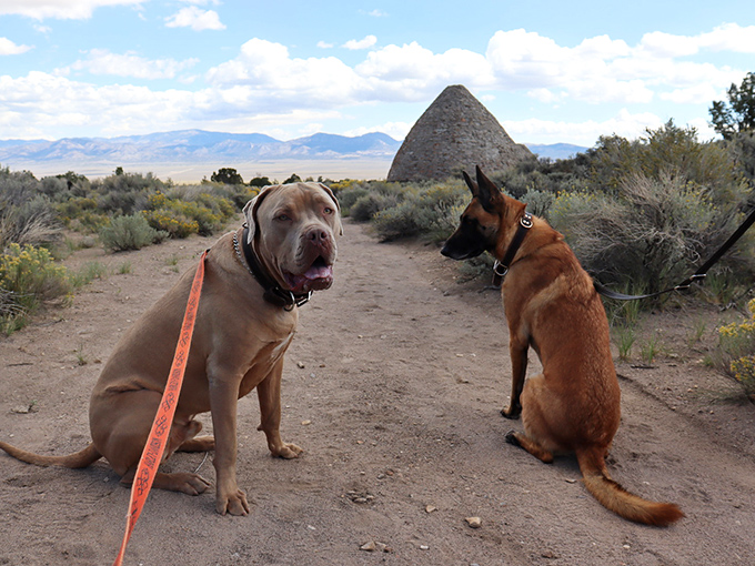 Even Fido and Fluffy can appreciate a good historical landmark. These pups are living their best lives, proving that every dog can have its day in the park. 