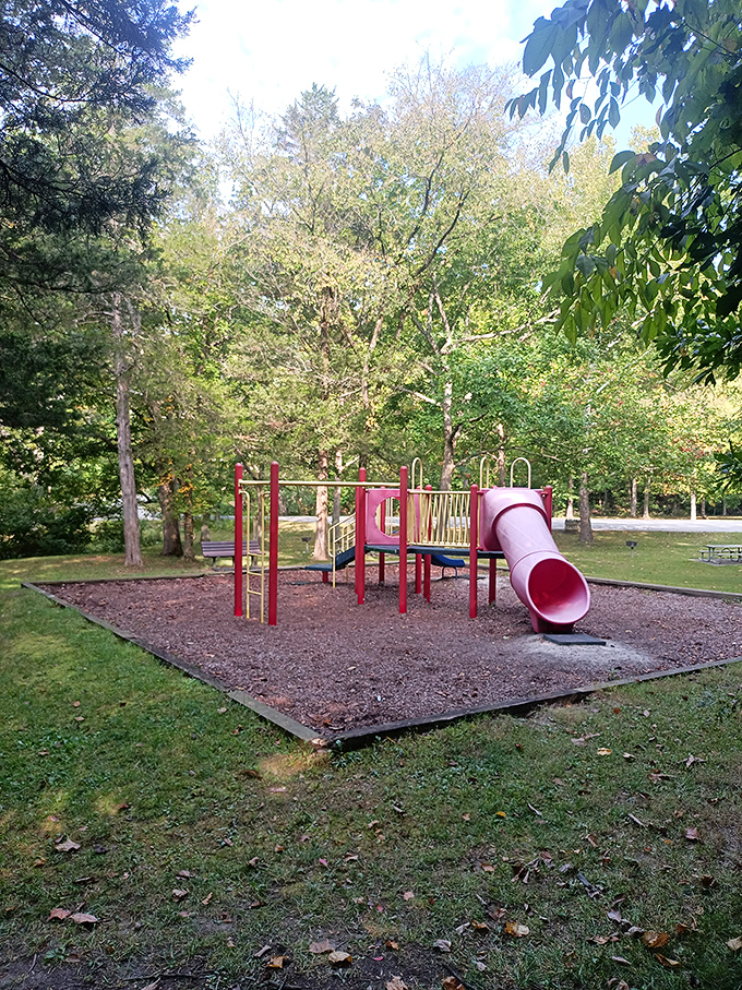 Paleolithic playground: Even cave kids needed recess. Slide into fun faster than you can say "Flintstones"!