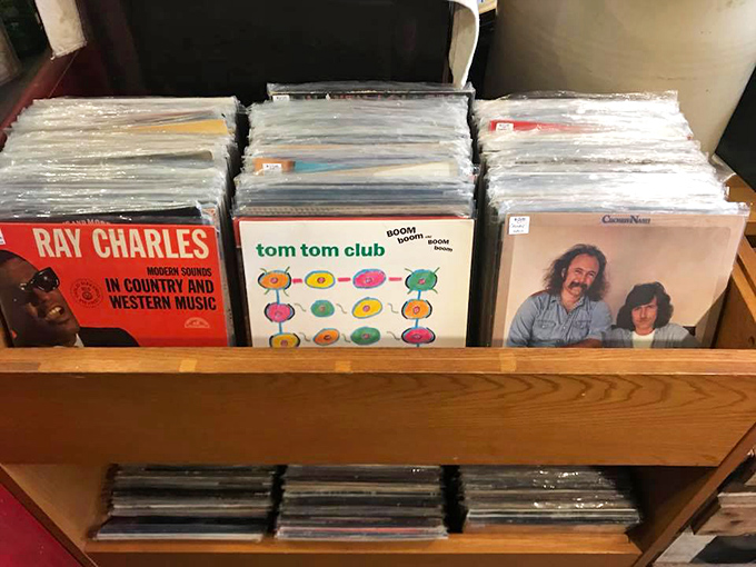 Vinyl enthusiasts, rejoice! These records are the original playlist makers. Sorry, Spotify, but you can't beat this analog charm.