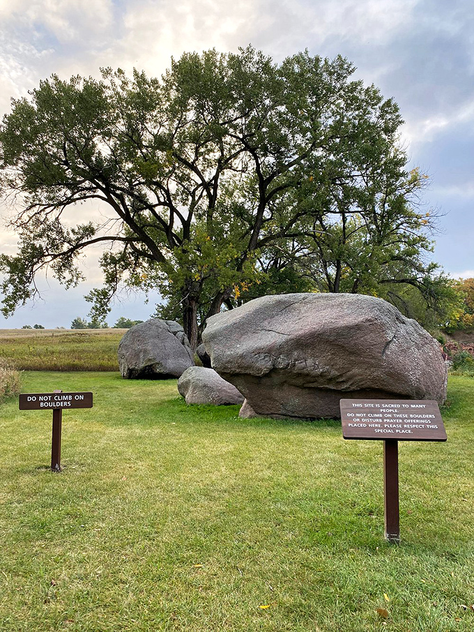 Rock stars of the prairie! These boulders are the strong, silent type with stories older than time.