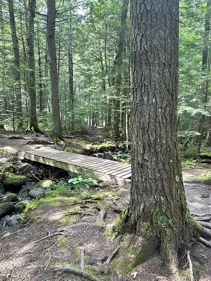 This bridge isn't just crossing a stream, it's bridging the gap between everyday life and fairytale magic.
