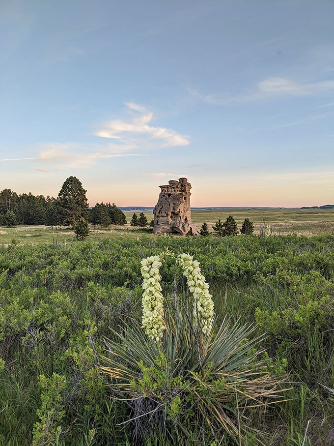 Sunset paints the prairie gold, while Mother Nature's rocky sentinels stand guard. Talk about a room with a view!