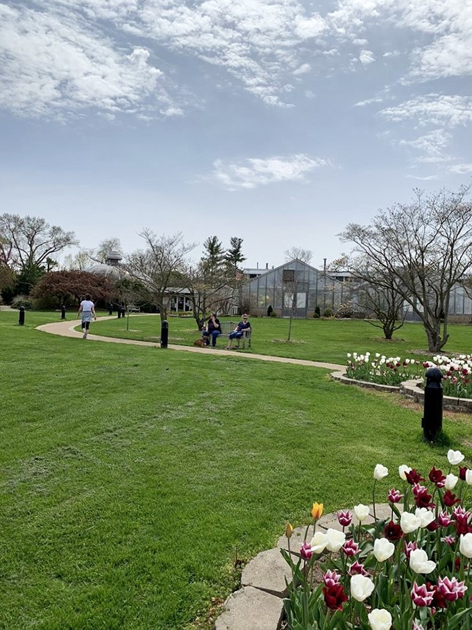 Spring has sprung, and with it, the annual human migration to bask in nature's beauty. David Attenborough, narrate this!