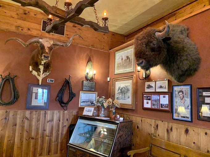 It's a regular taxidermy party in here! These walls could tell tales wilder than the West itself. Just don't stare too long – they might stare back.
