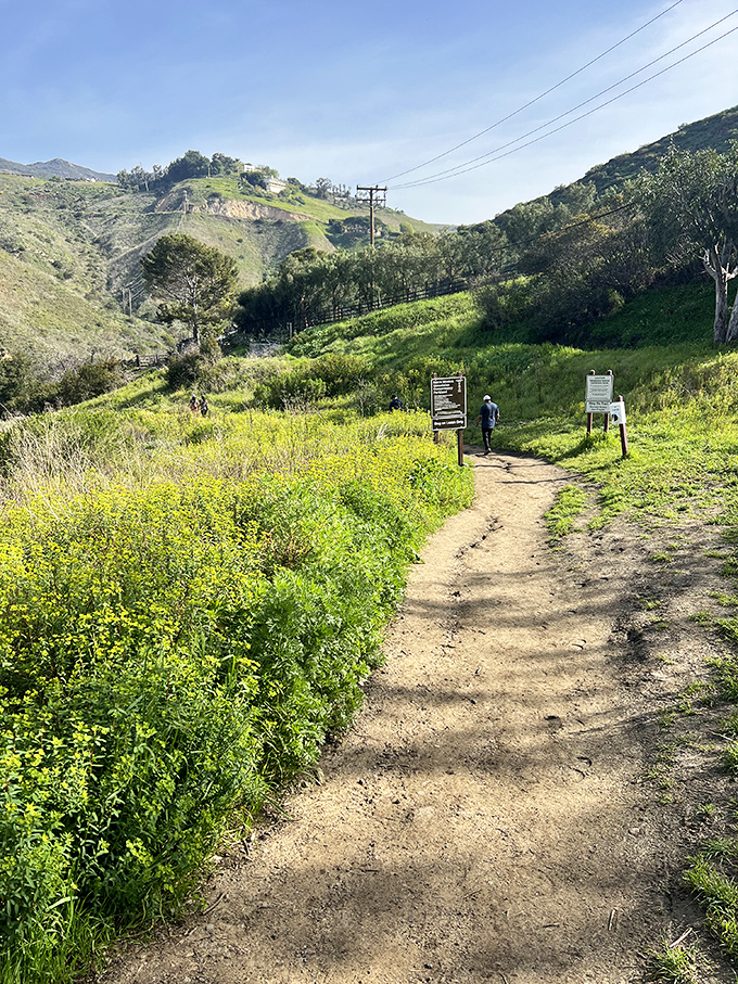 A path so inviting, it practically begs you to skip work and go hiking. Don't worry, we won't tell your boss!