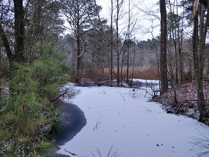 Winter wonderland or secret portal to Narnia? This frosty scene might have you checking the back of your closet for magic.
