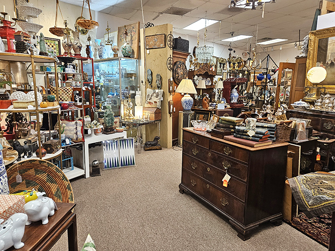 It's organized chaos at its finest! This hodgepodge of history is like a real-life game of "I Spy" for grown-ups.