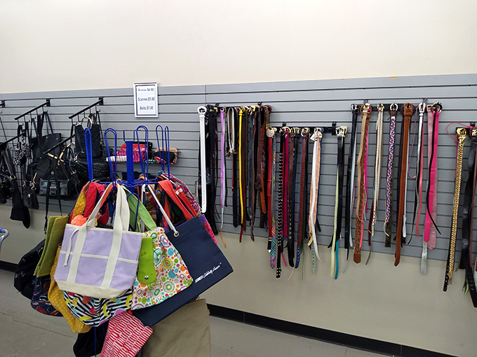 Accessorize your life! This collection of bags and belts is like a buffet for your wardrobe. Go ahead, pile your plate high with fashion!